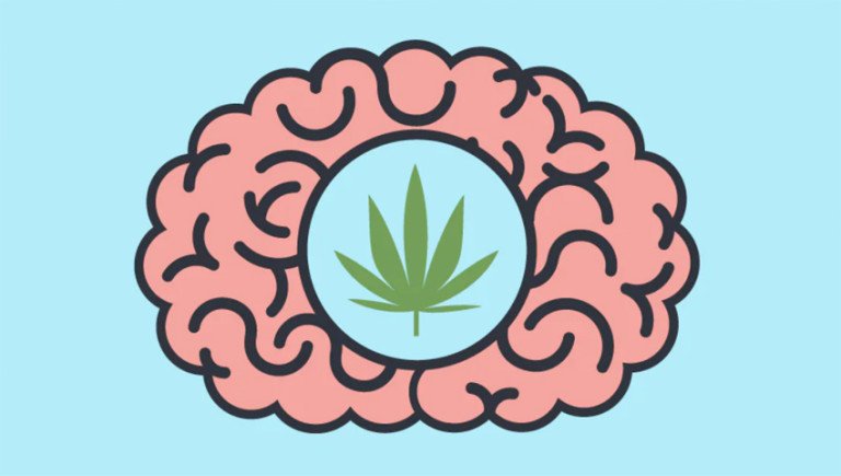 Highs and Lows: How Marijuana Affects Your Body and Brain ...